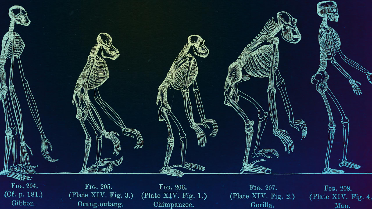 We’re all getting dumber, says science We’re all getting dumber, says science