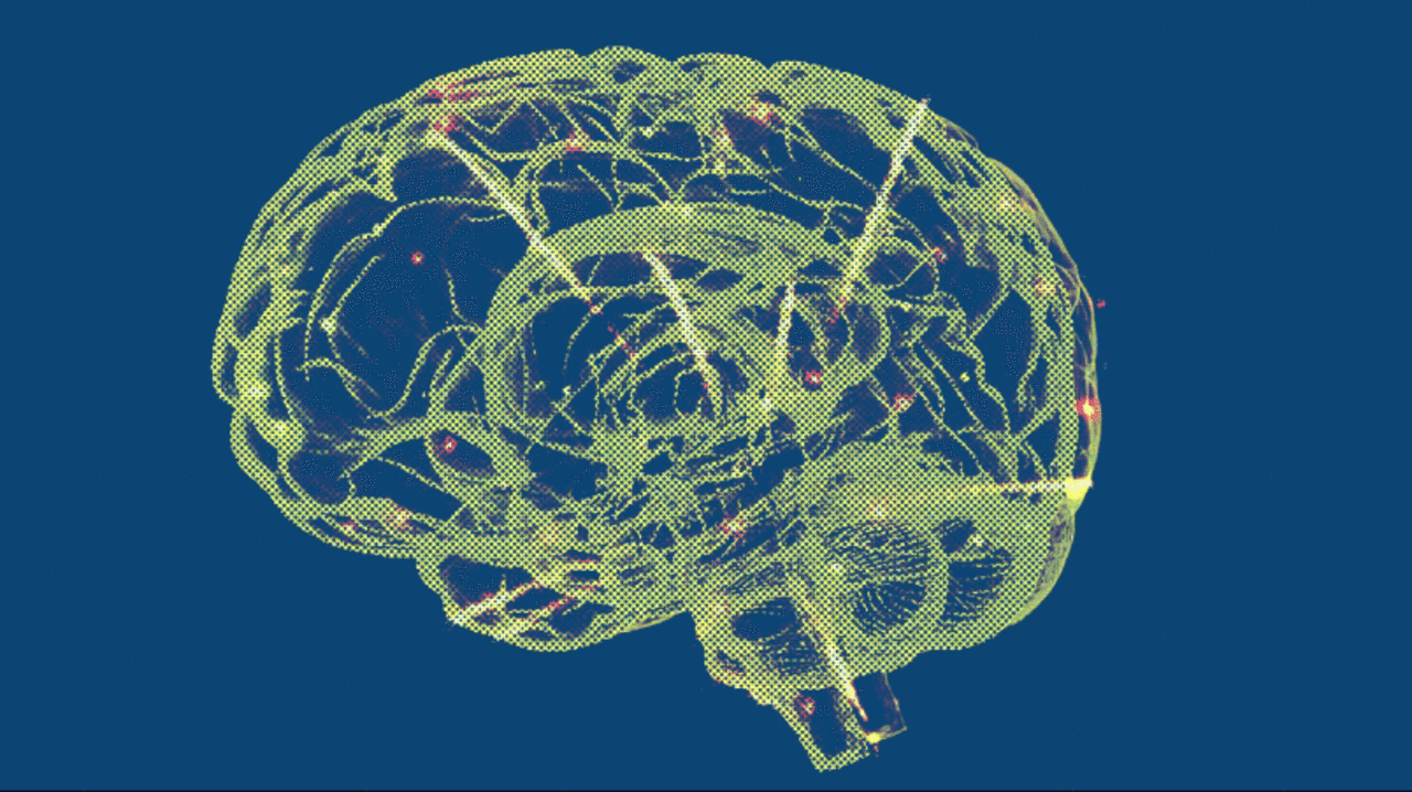 A very short guide to the most creative part of your brain