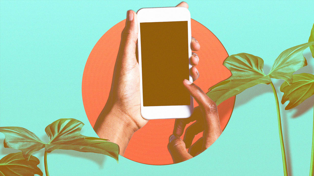 How To Check Email On Vacation And Still Enjoy Yourself how-to-check-email-on-vacation-and-still-enjoy-yourself