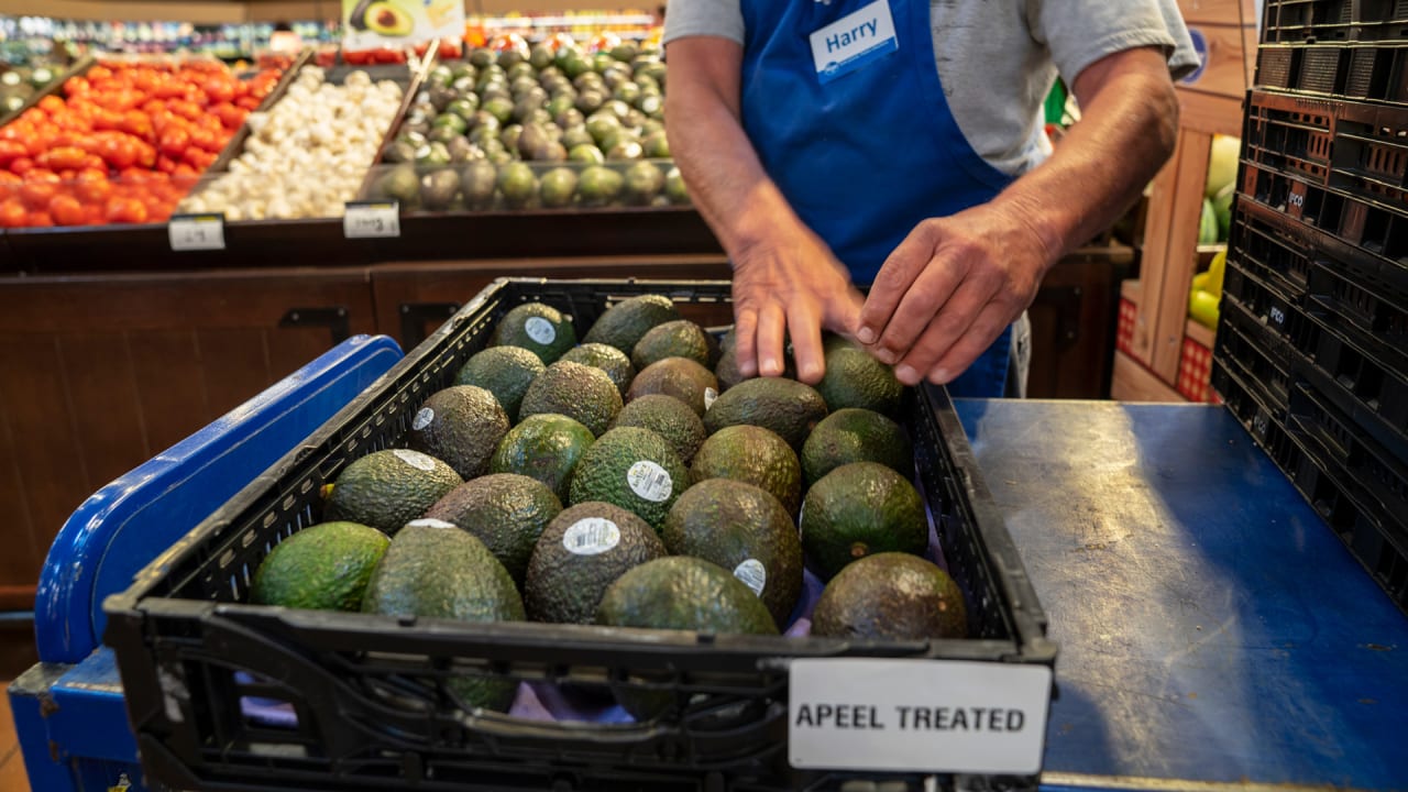 Apeel-coated produce is poised to take over grocery shelves Apeel-coated produce is poised to take over grocery shelves