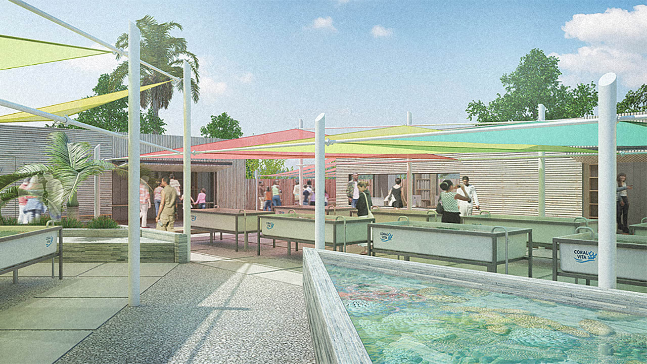 Coral Vita's is growing coral at a new commercial coral farm