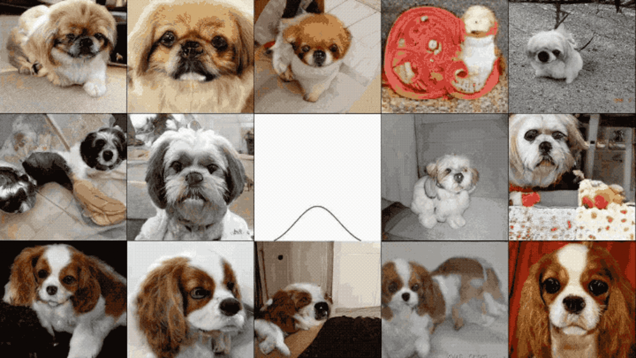 A Google intern's BigGAN AI makes super realistic images