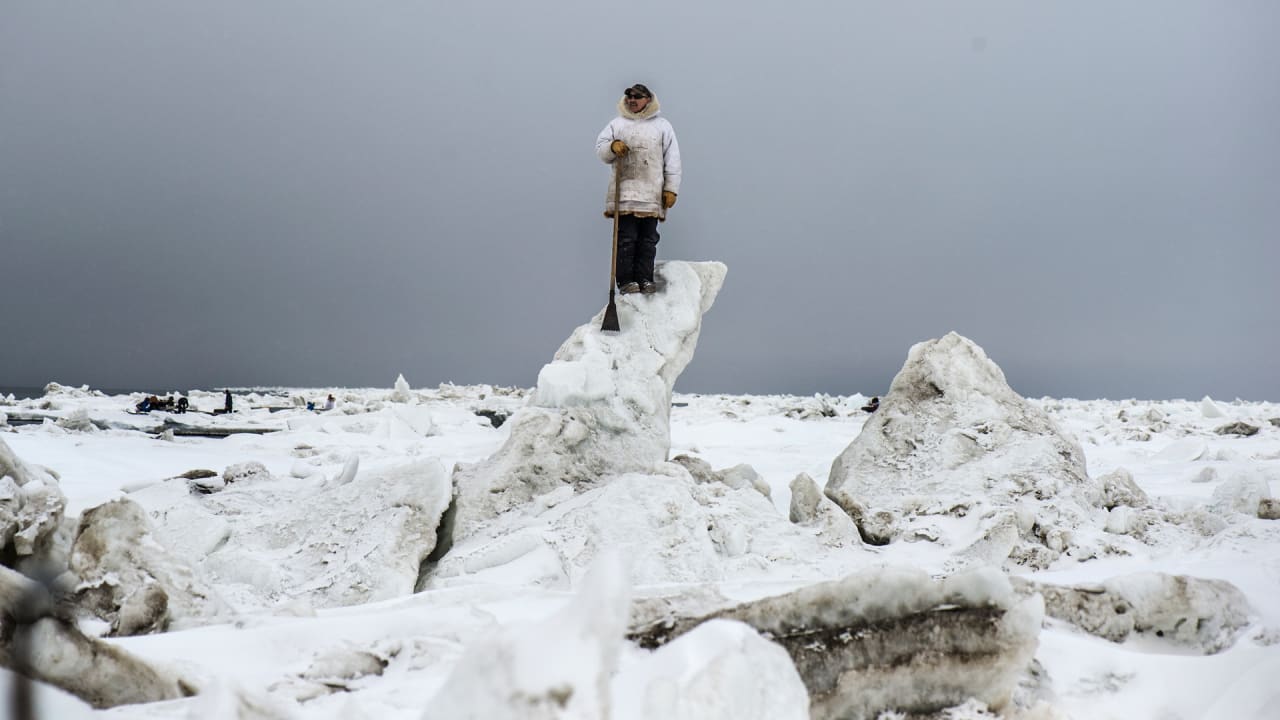 Arctic: New Frontier shows the early effects of climate change