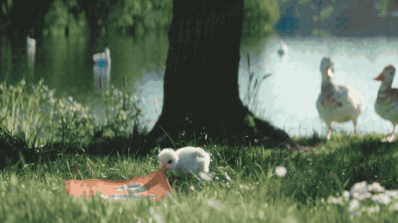 This Disneyland Paris baby duck ad will melt your heart