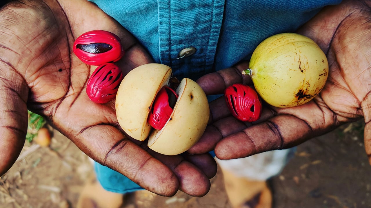 Burlap and Barrel is ethically sourcing spices