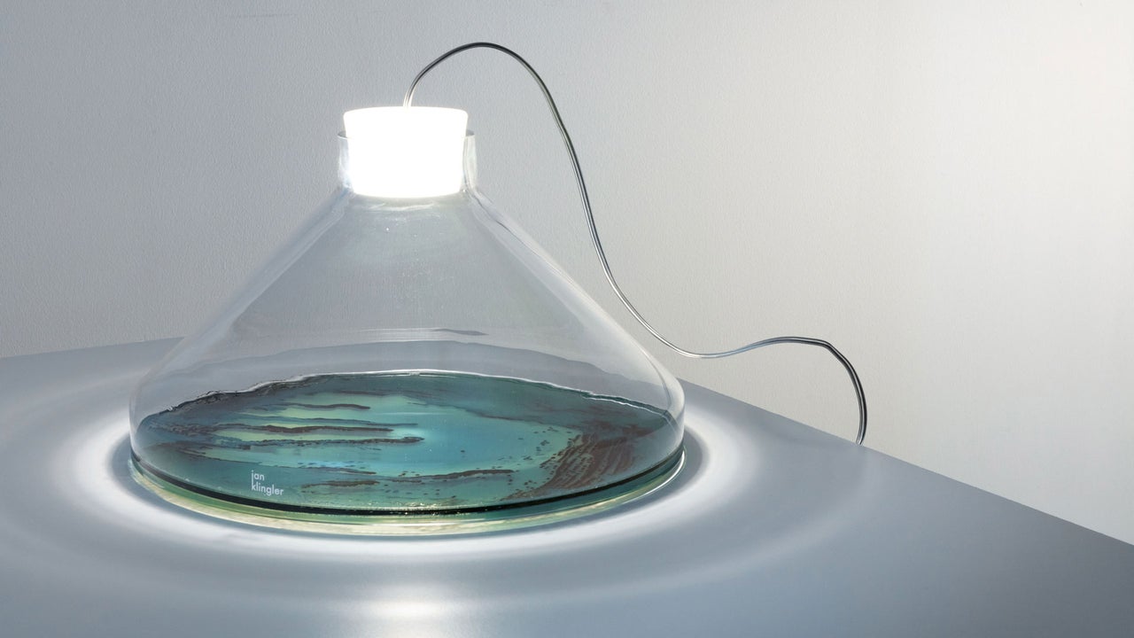 These lamps preserve the bacteria of your favorite people, pets, and p