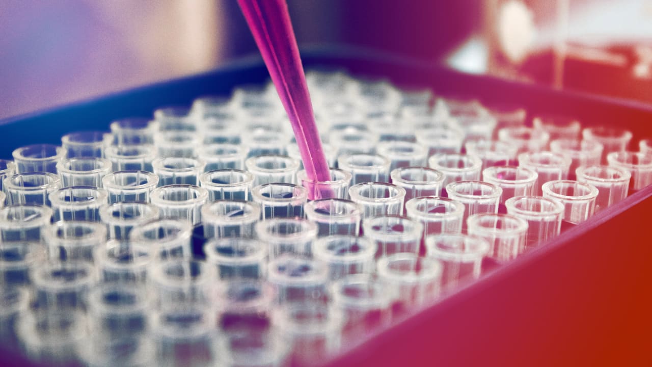 China’s CRISPR twins might be the first enhanced humans when it comes