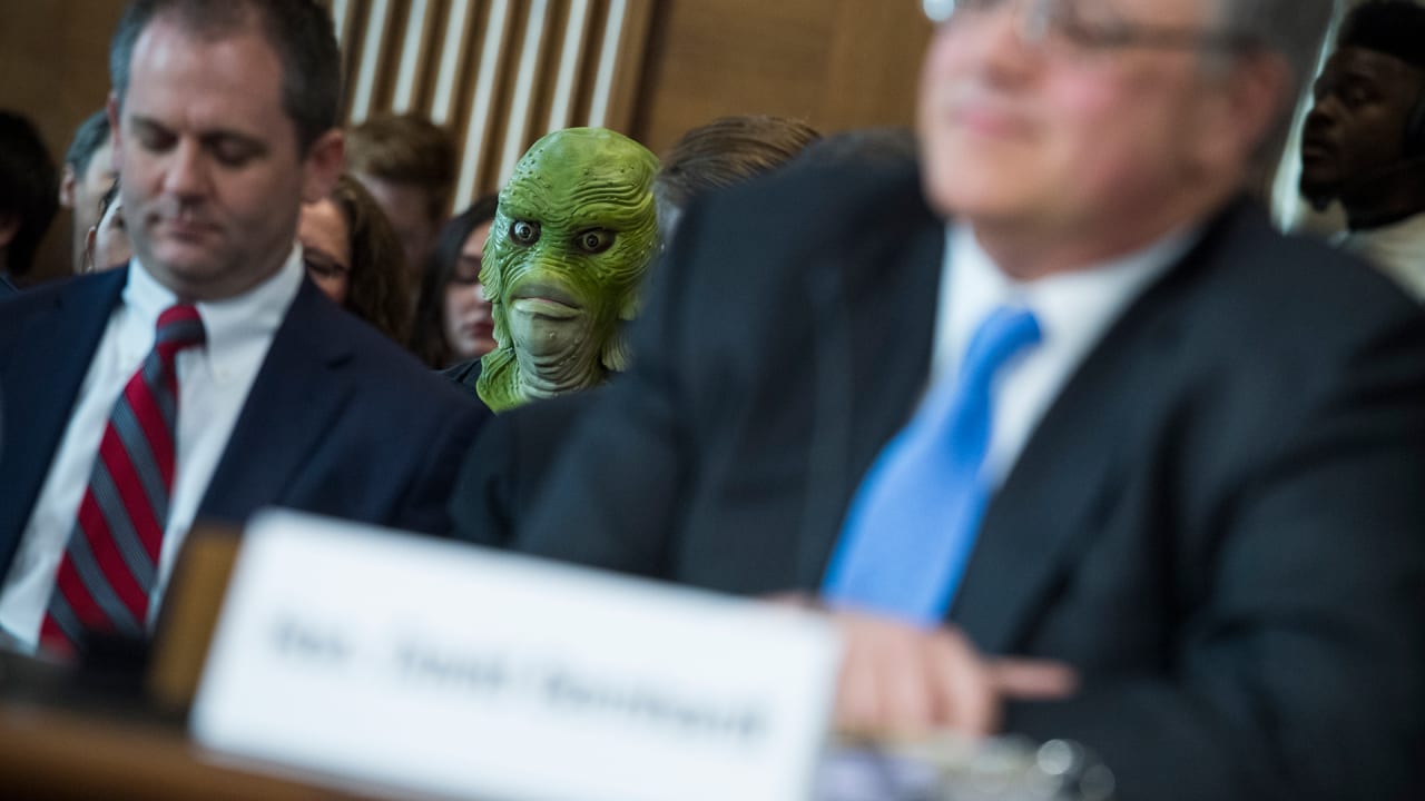 Swamp creatures at David Bernhardt hearing continue trend