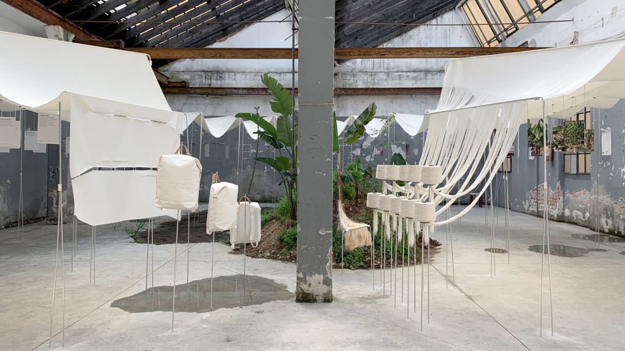 Bananatex is a new fabric made from banana plants