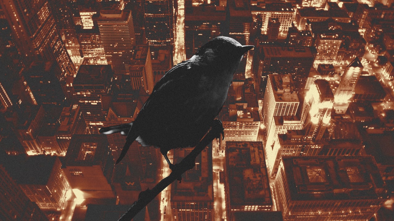 Buildings kill 600 million birds a year. Here's how to help