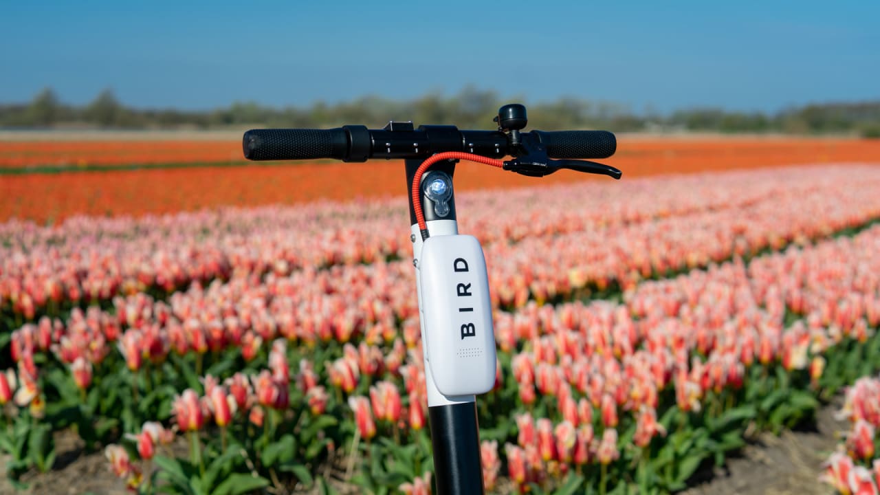 Bird announces sturdier scooters and carbon offsets