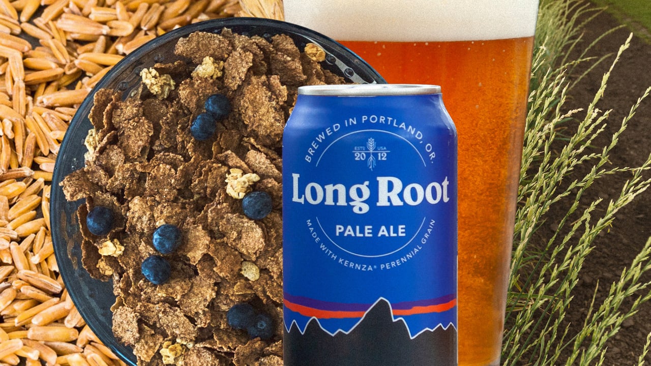 Kernza helps this new cereal and beer fight climate change
