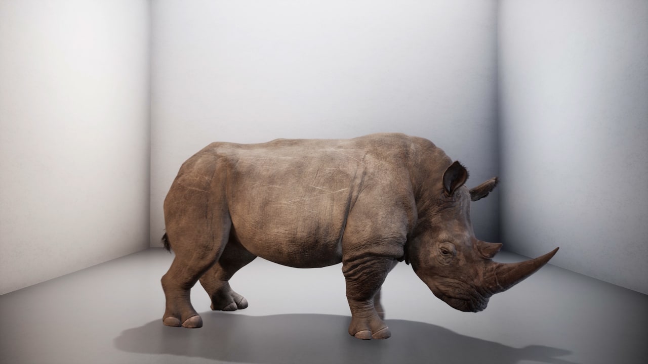 Artists are reviving extinct animals with DNA and animation