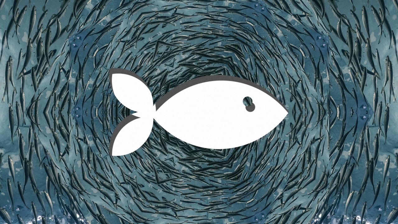 How to make fish farming the center of a future food system