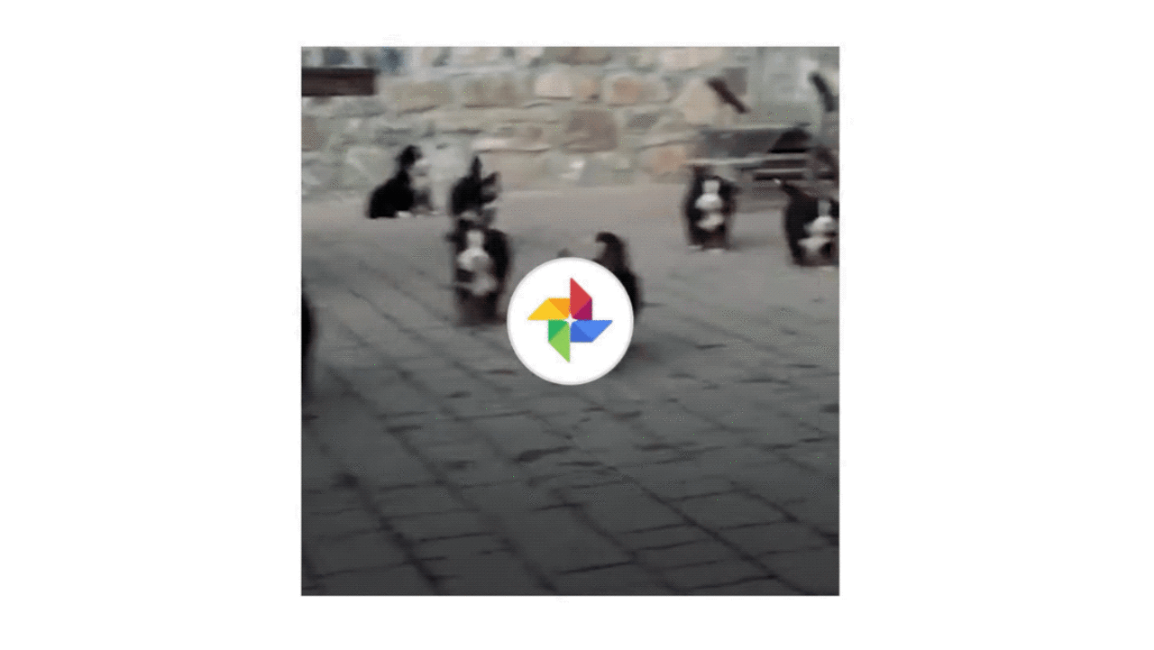 How Google Photos reached a billion users