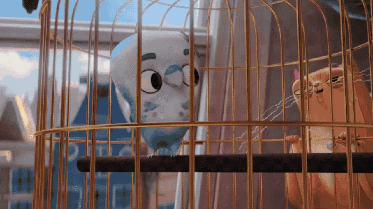 Funniest animated short about a dead bird you will ever see