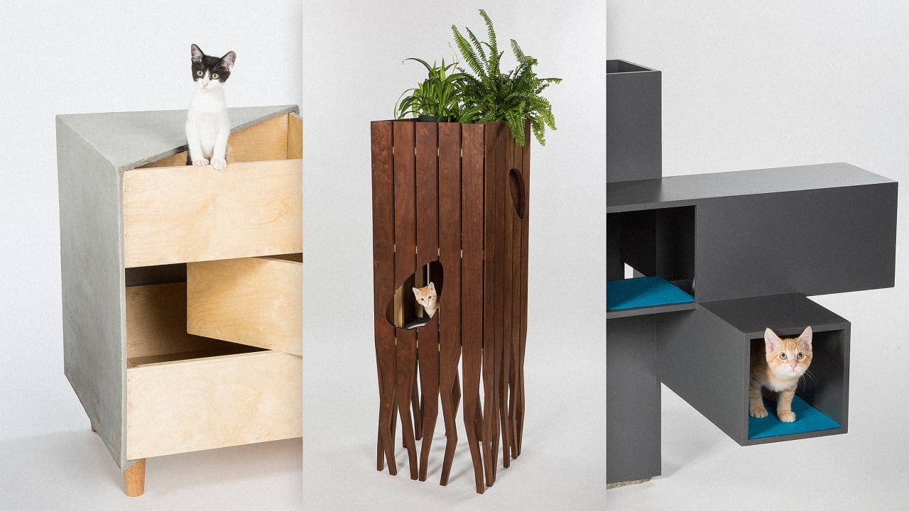 These cat houses are nicer than human houses