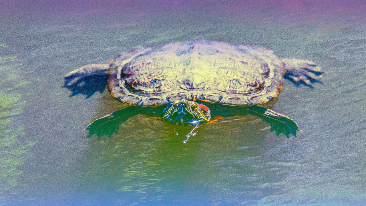 How to make the slow work movement work