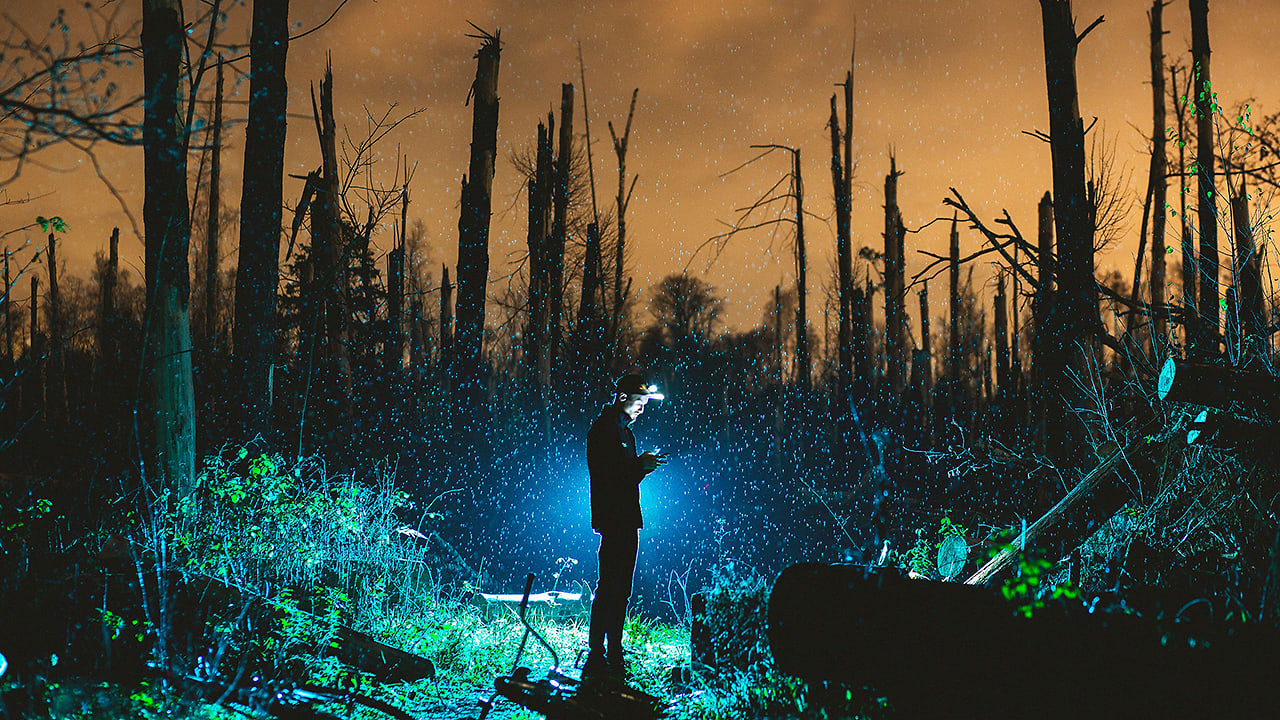 What would happen to the internet if society collapsed?