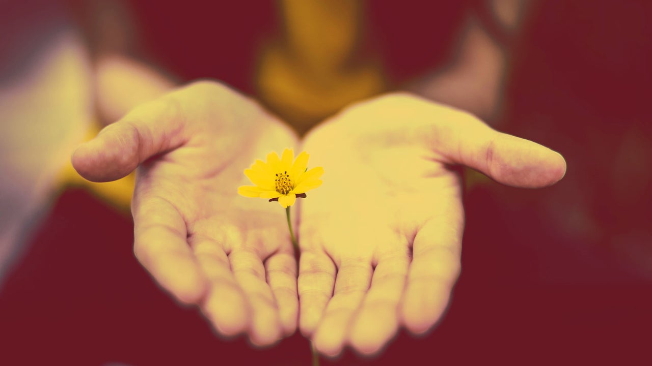 How to address an issue without saying 'I'm sorry'