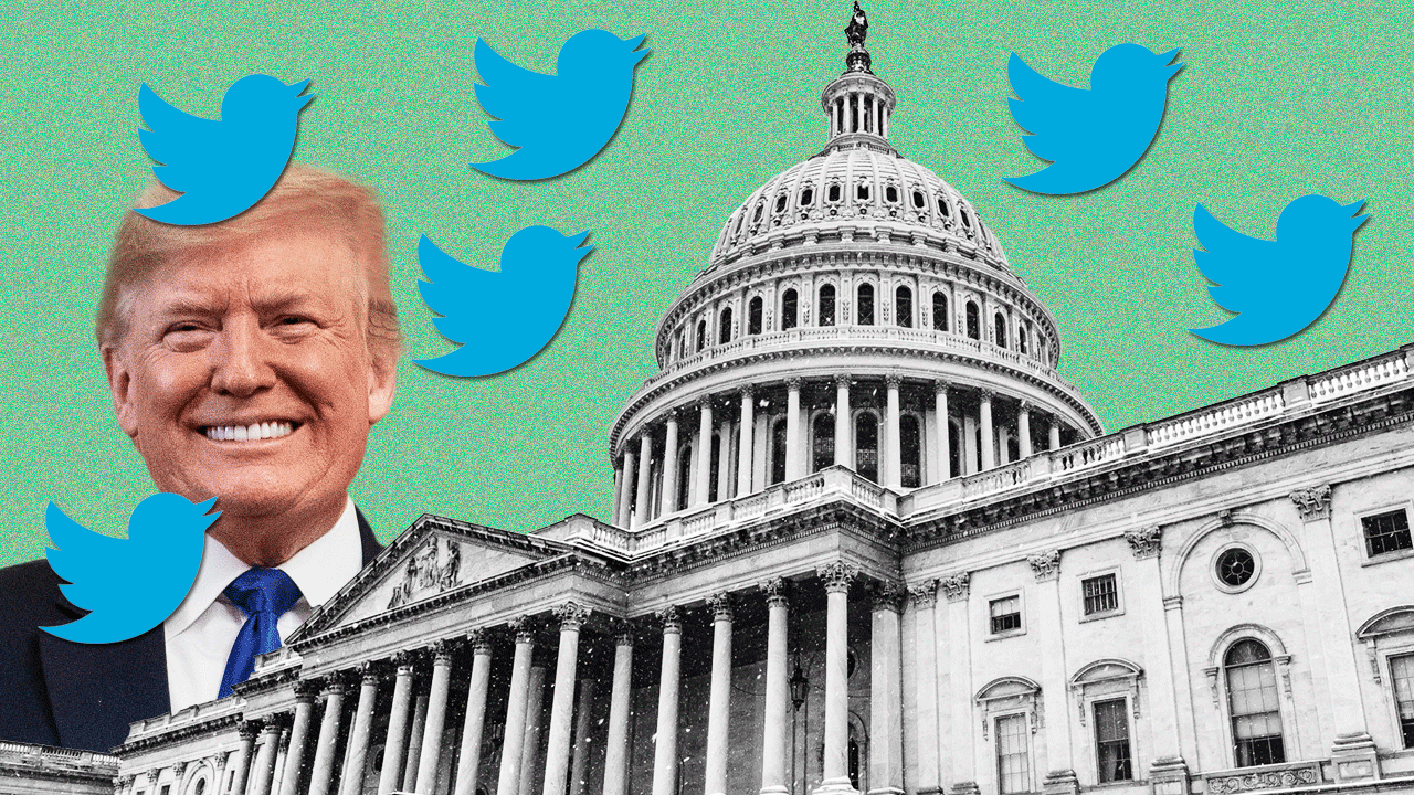 The best memes of the impeachment trial of President Donald J. Trump