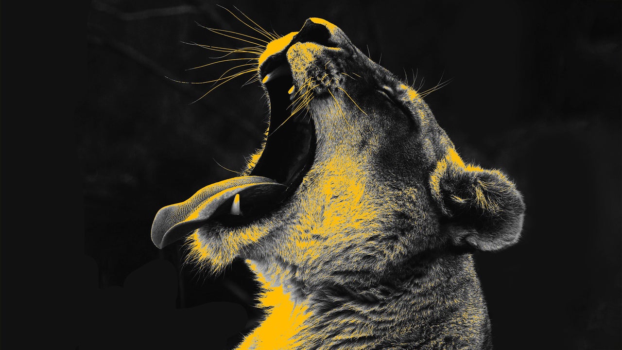 Study of 101 mammal species shows females outlive males
