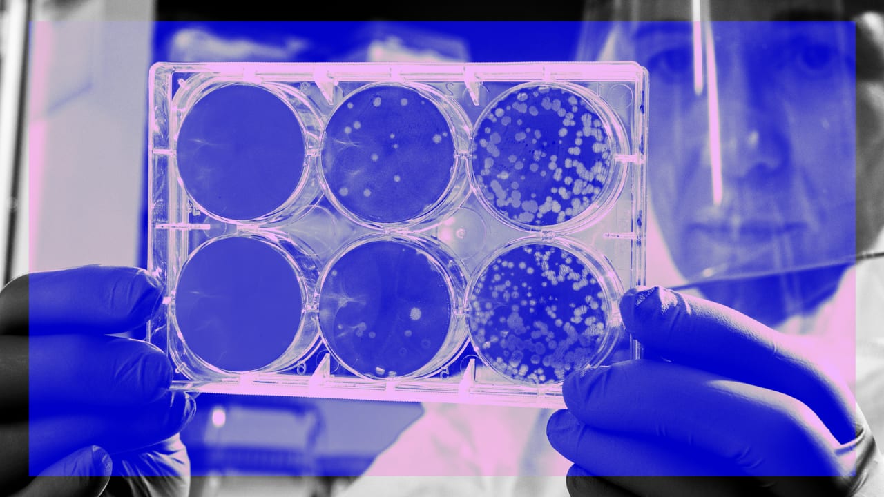 COVID-19 test using CRISPR gets FDA emergency authorization COVID-19 test using CRISPR gets FDA emergency authorization