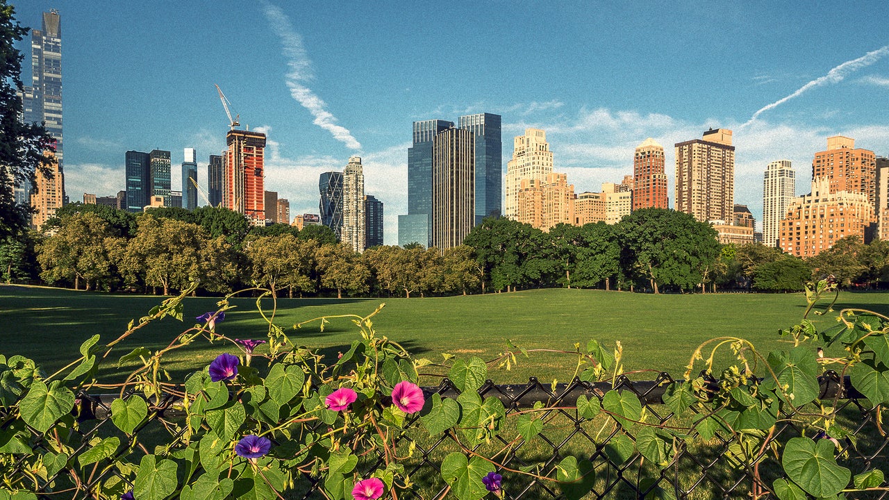 Amber Tamm wants to put a community farm in Central Park