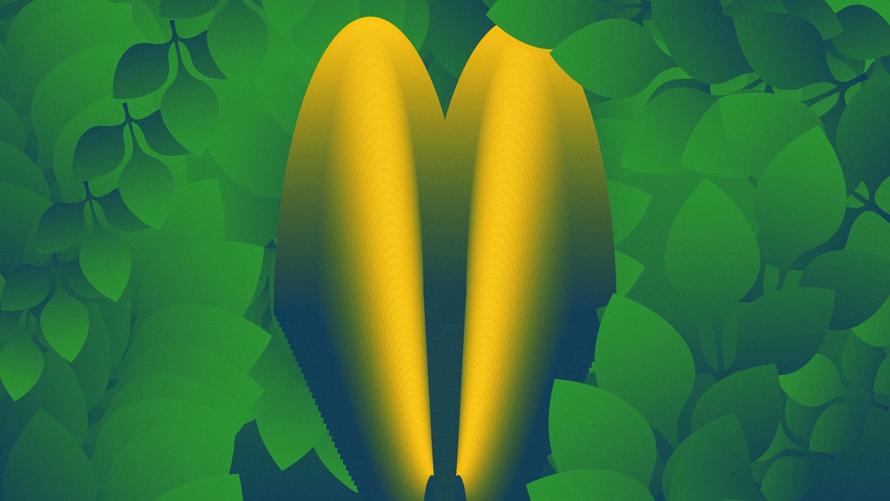 What we know about McDonald's new "McPlant" plant-based burger