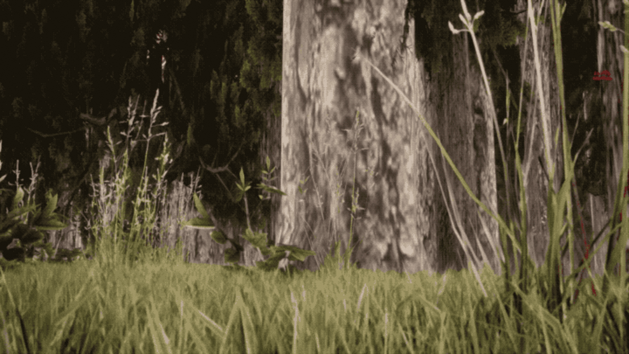 Can a hike through a VR forest make people understand climate change?