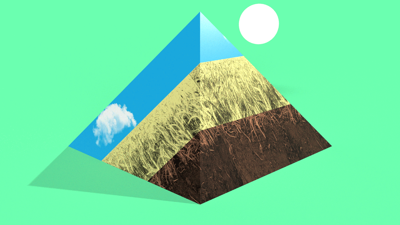 It's time to reshape the food pyramid to save the climate