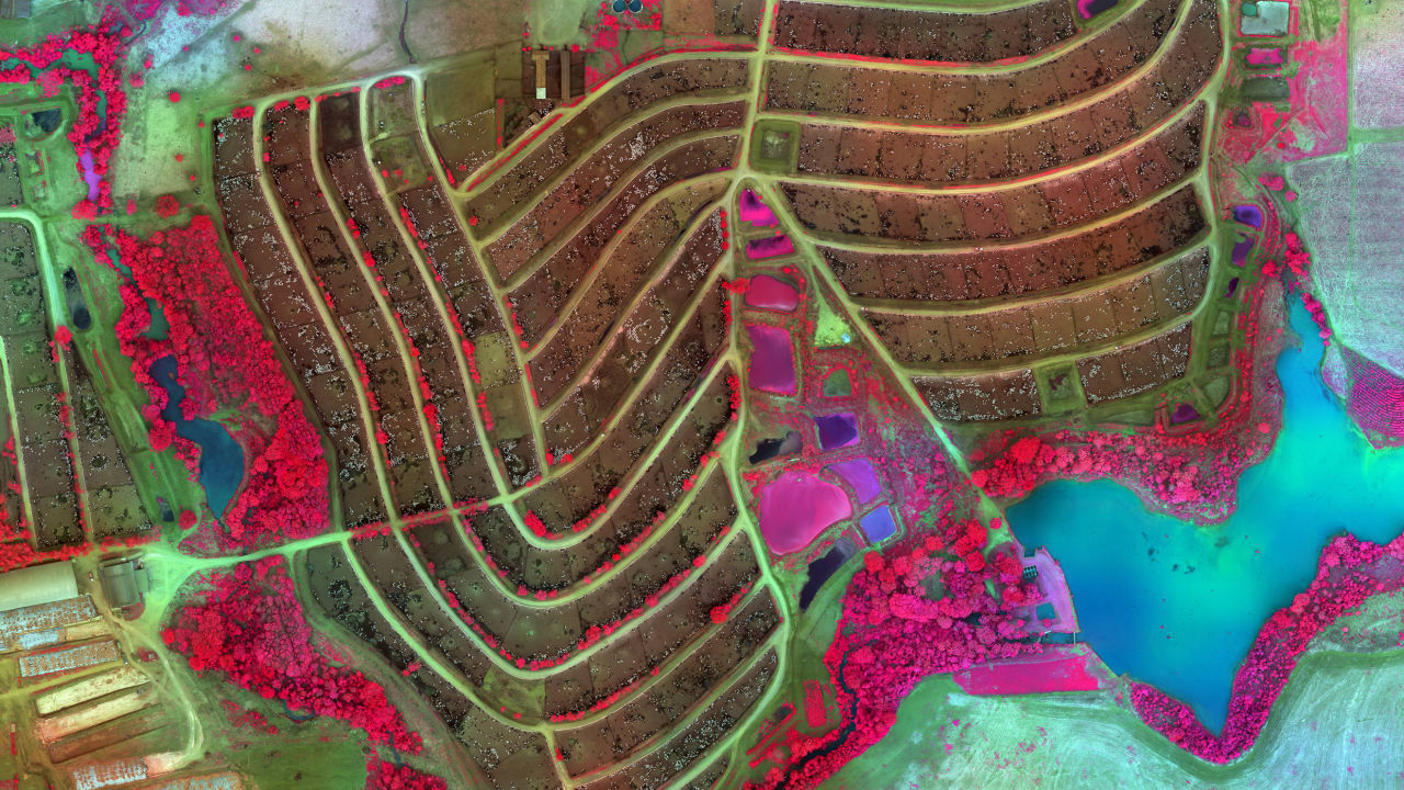 Richard Mosse's Tristes Tropiques captures Amazon devastation