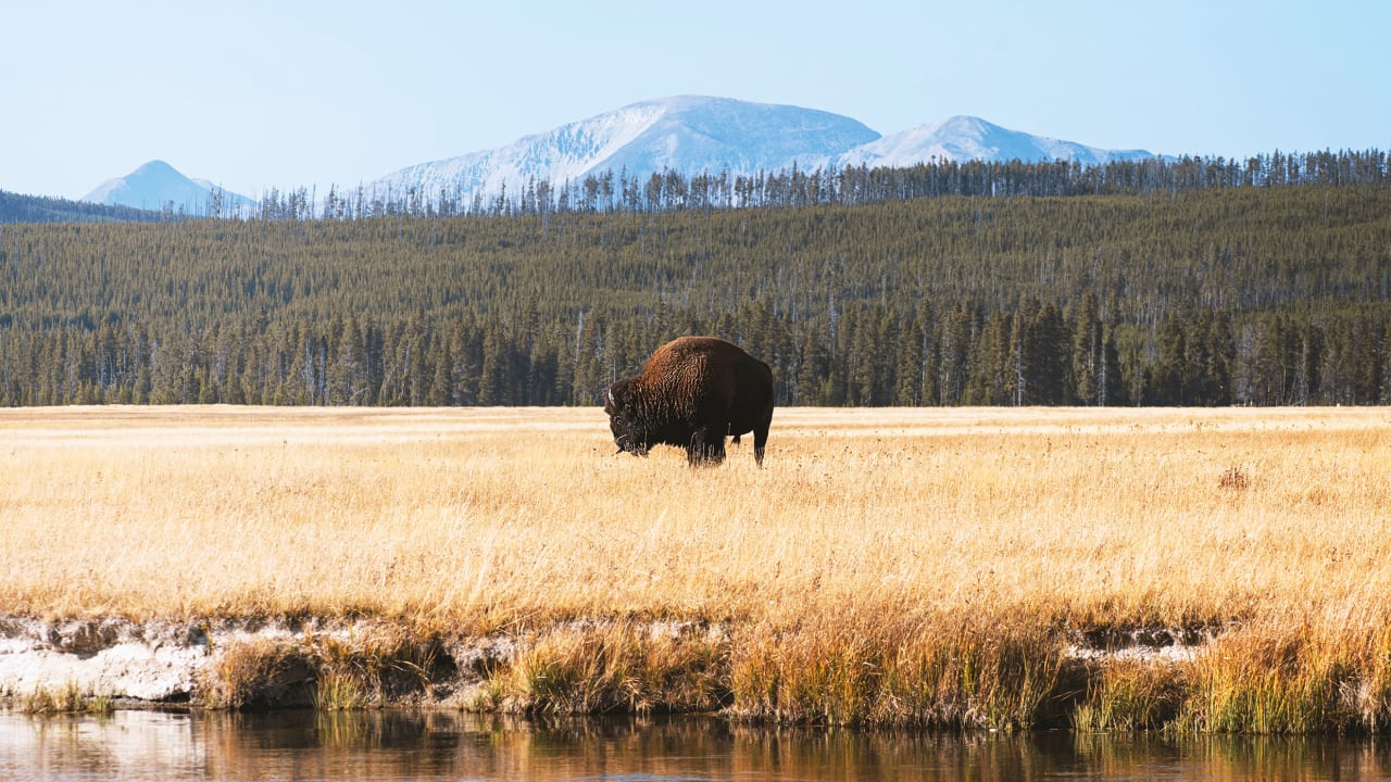 Warming climate is threatening the ecosystem of Yellowstone