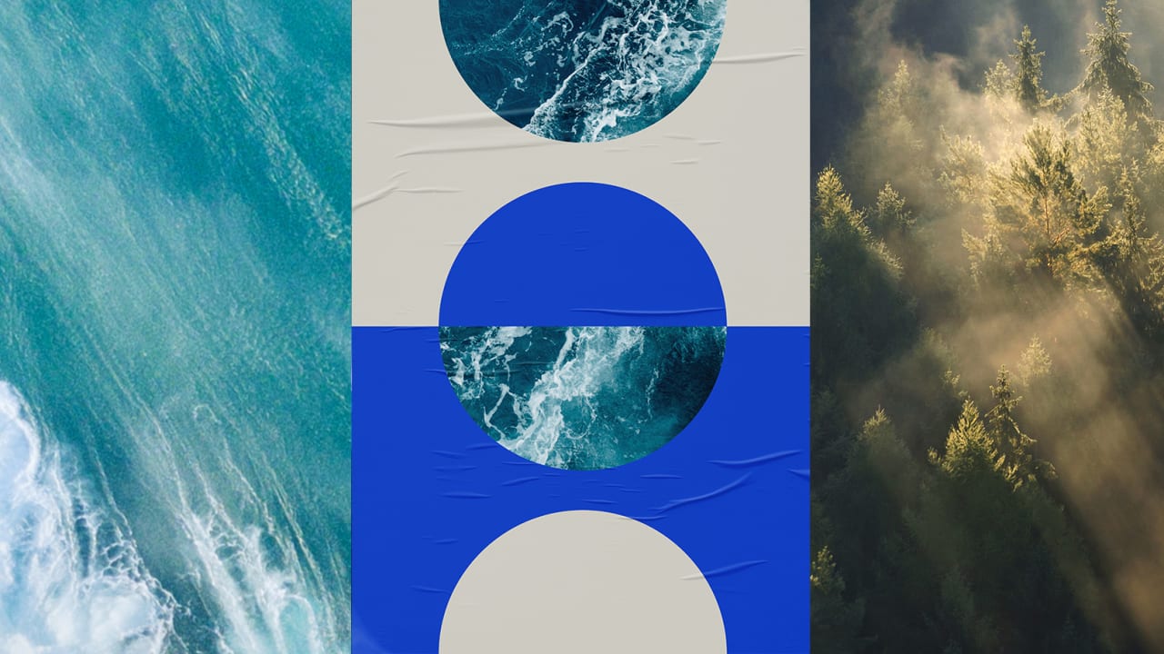 Watch these nature videos and preserve the environment