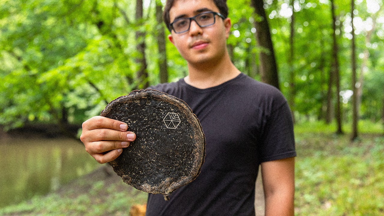 Wood alternative Pyrus is made from kombucha brewing waste