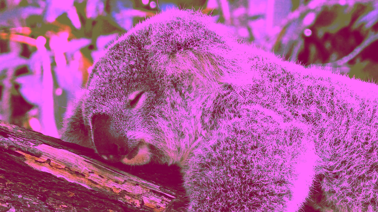 Why a lack of lazy behavior is increasing your burnout