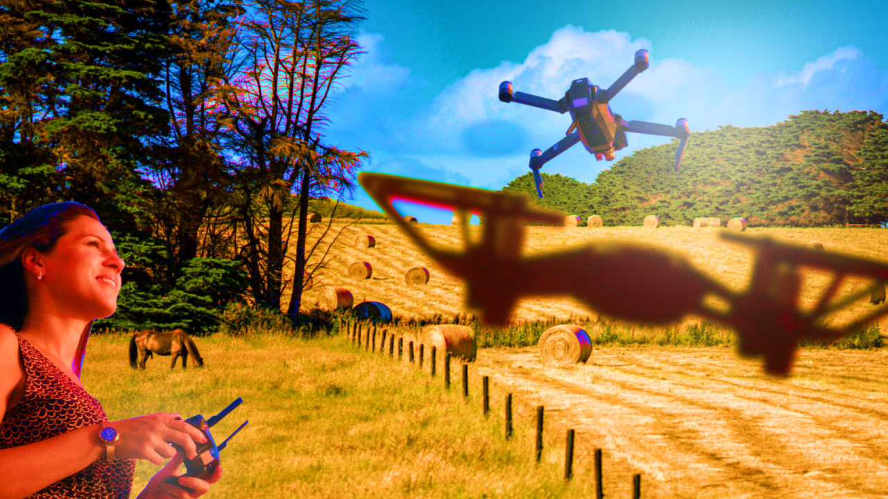 Poop sensors, drones, and robots: Automation at the farm