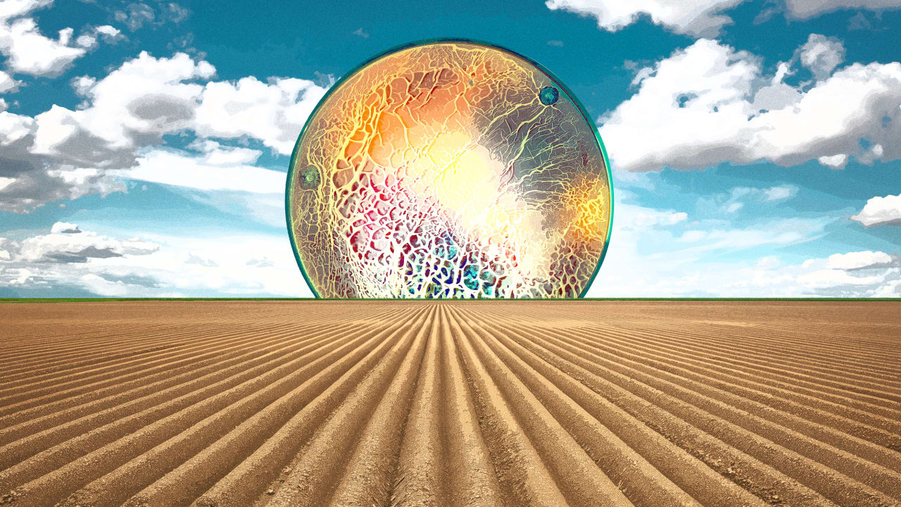 Kula Bio uses microbes to replace fossil fuel-based fertilizers