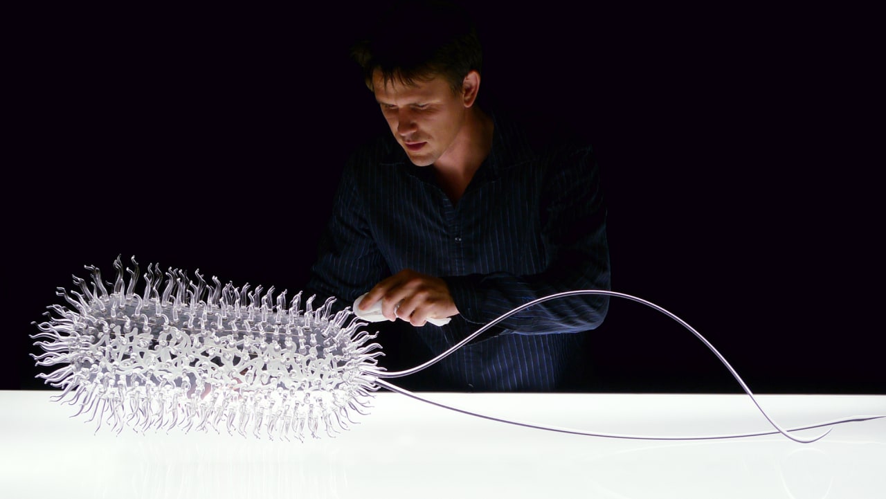 See the stunning glass sculptures that depict scientifically accurate