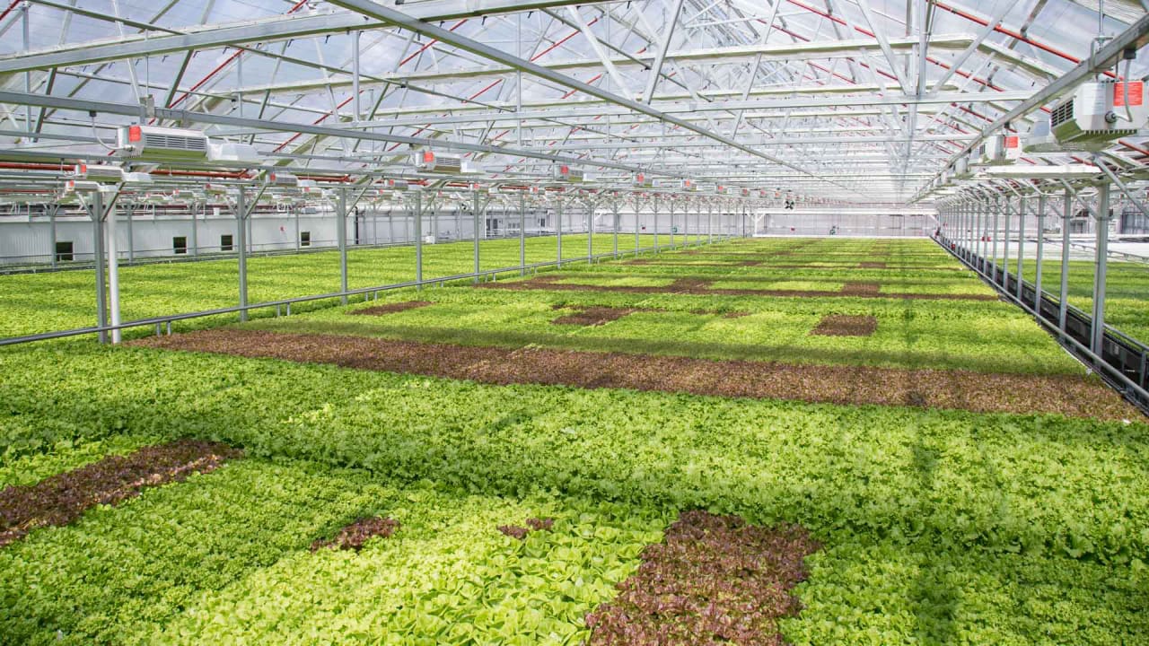 These two farms are transforming carbon-friendly agriculture