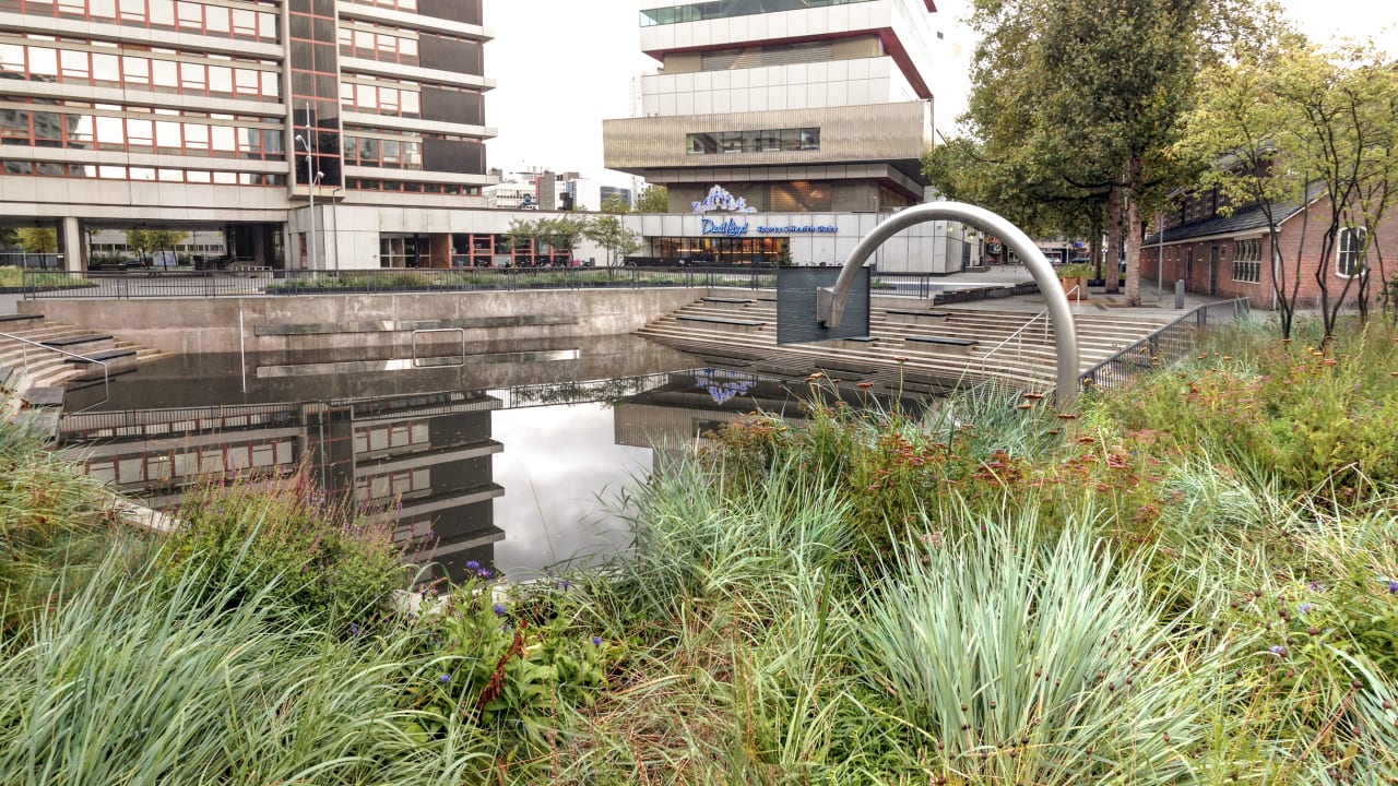 From water squares to tidal parks: Meet the Dutch architects redesigni