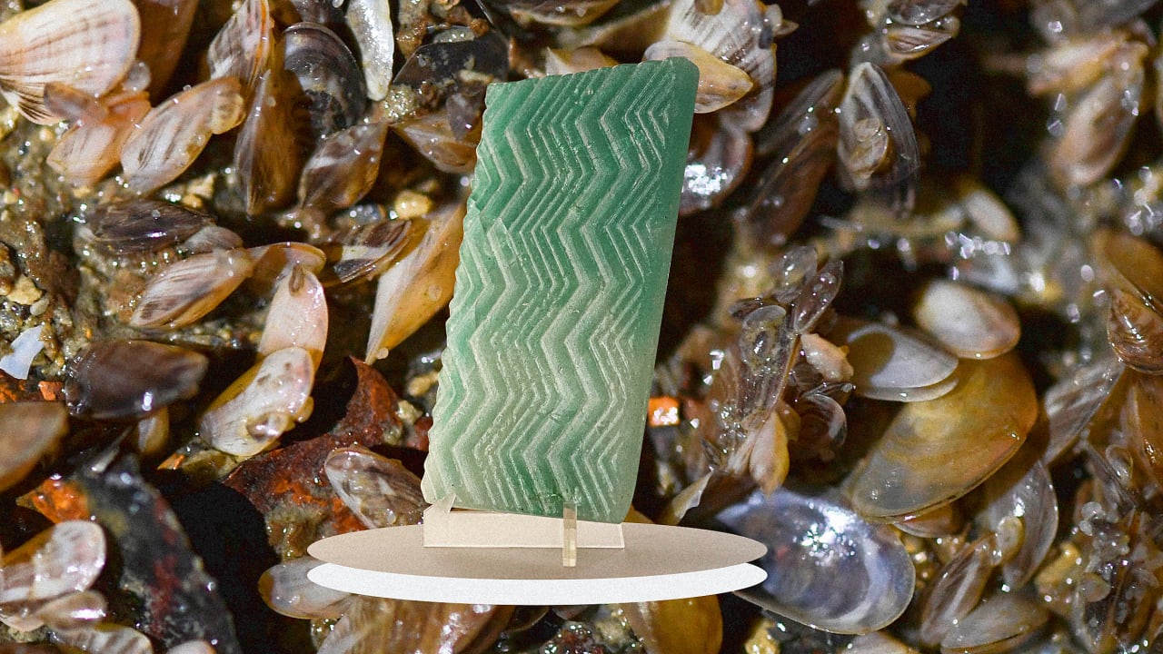 Mussel shells are clogging London's water pipes, but one designer foun