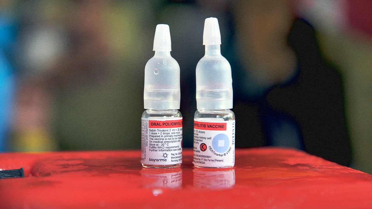 Polio in New York: what you need to know