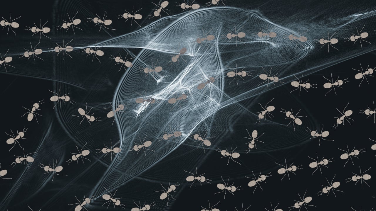 Neuroscience alert: Ant colonies behave like the human brain