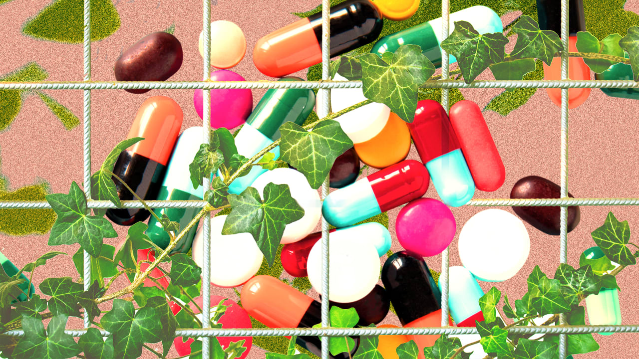 Developing new drugs from nature