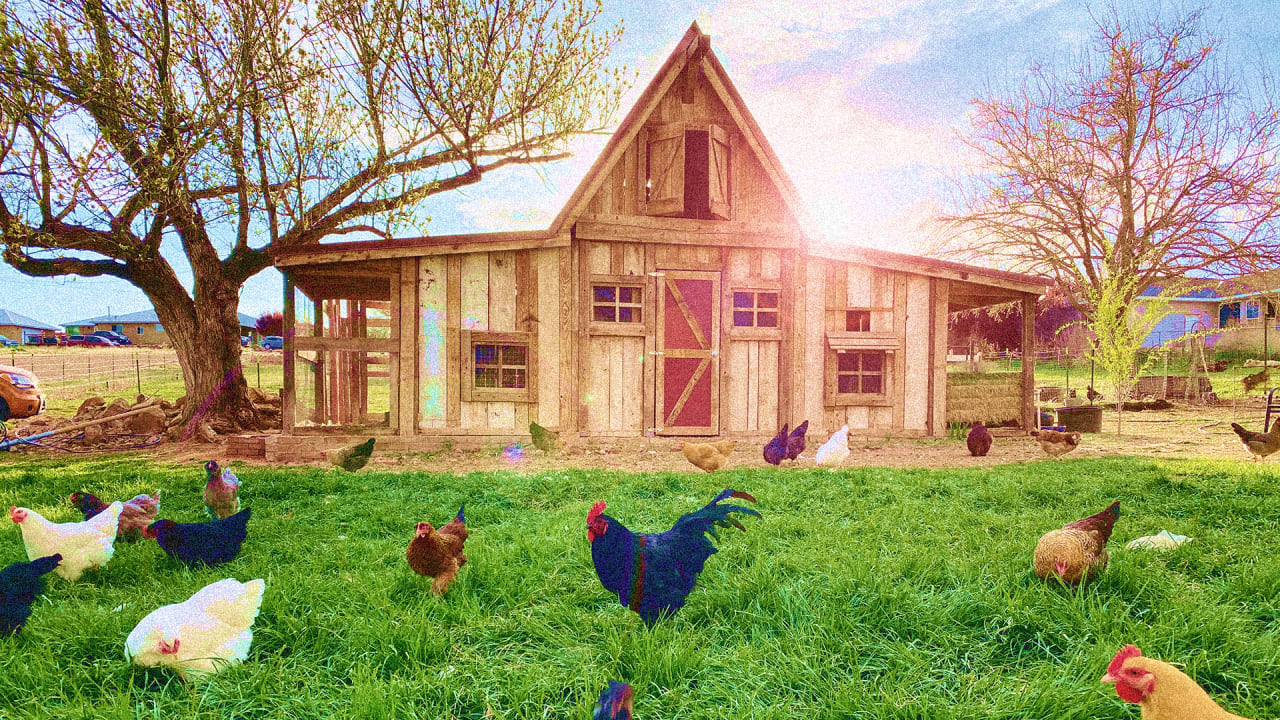 The Lessons In Leadership I Learned From My New Life On A Farm