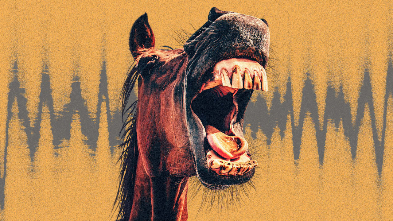 Bioacoustics is helping CA conservationists monitor wildlife