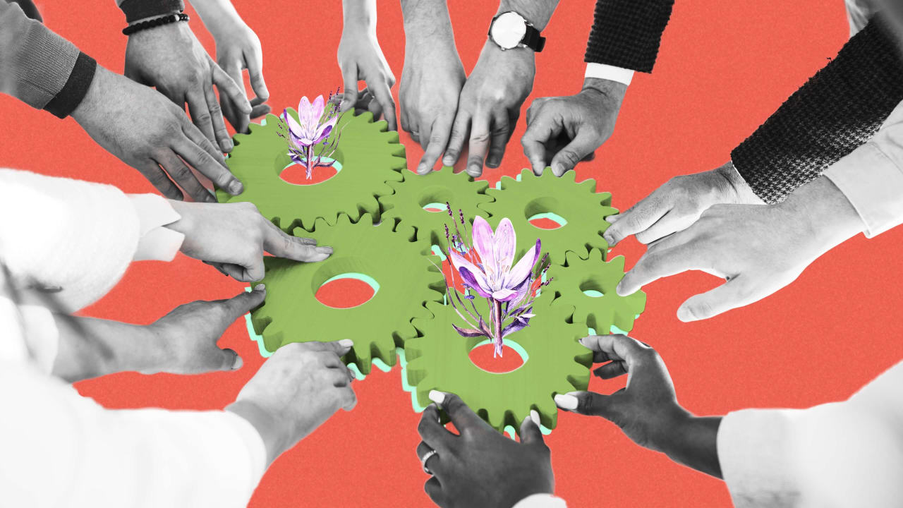 The lily pad effect: How to develop deep roots to protect your sales t