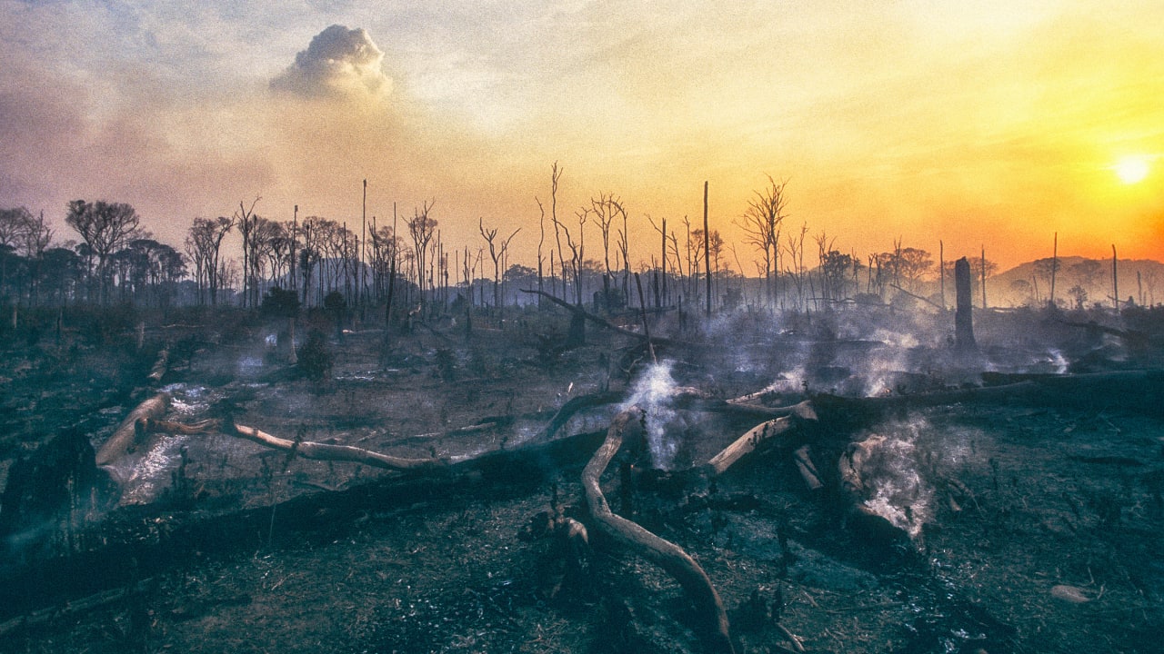 4 ways protecting and restoring nature is key to our COVID-19 recovery