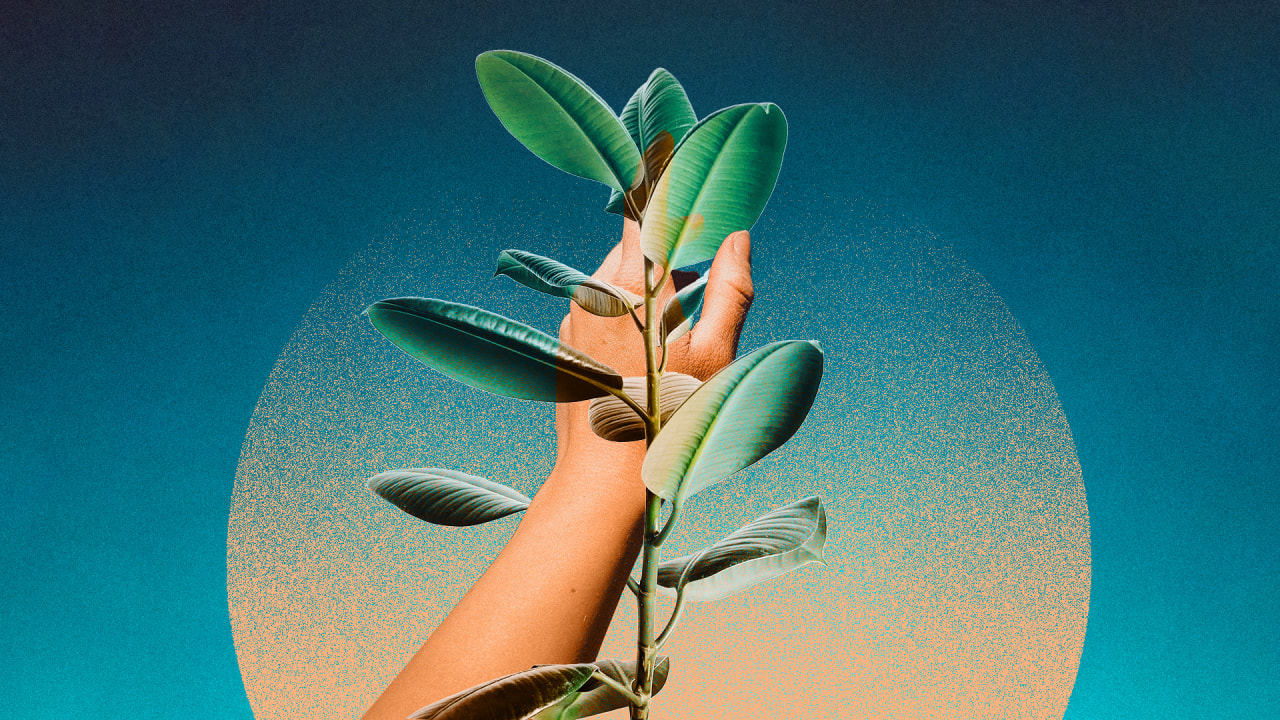 How To Cultivate A Growth Mindset